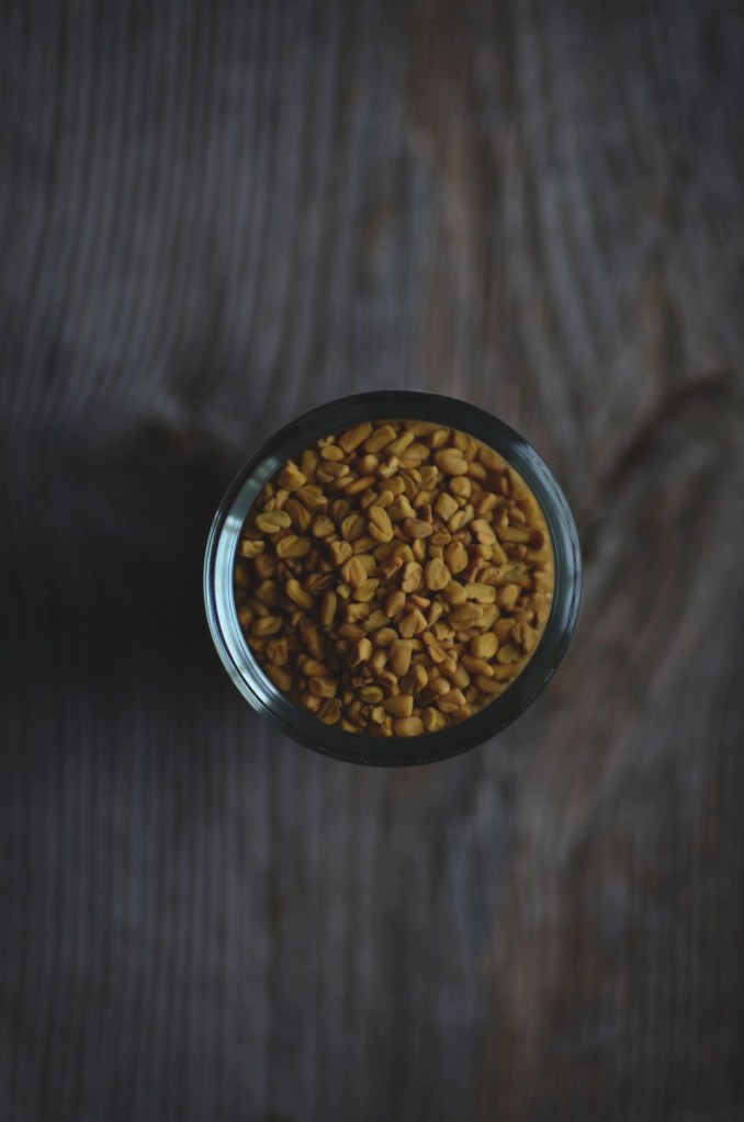 sprouting and growing fenugreek (methi) & a recipe for gujarati methi roti